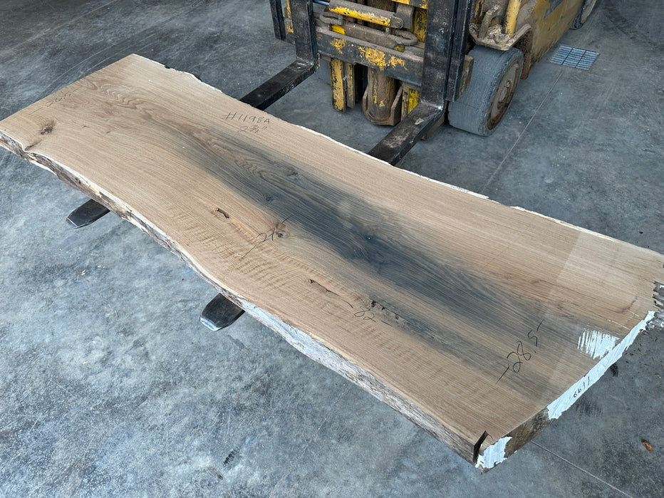 White Oak Lumber Slab #1198 BLUE | Hazel Oak Farms