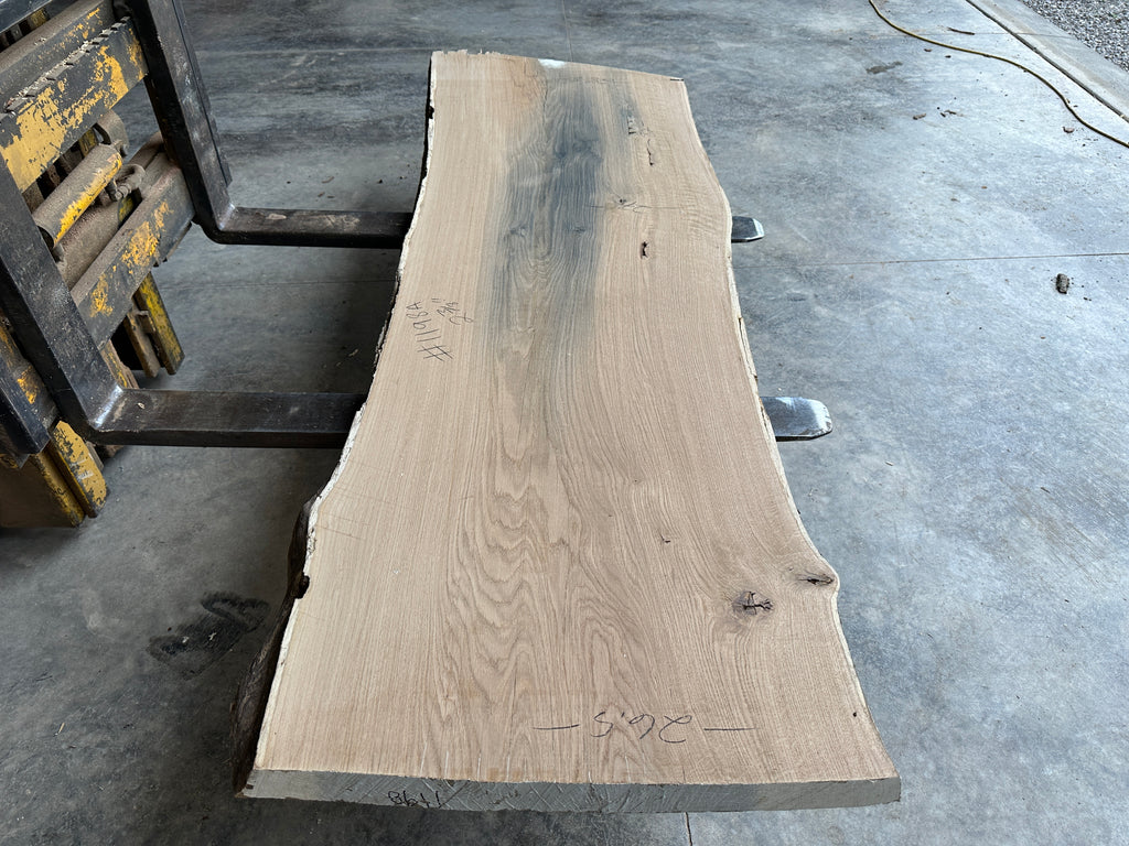 White Oak Lumber Slab #1198 BLUE | Hazel Oak Farms