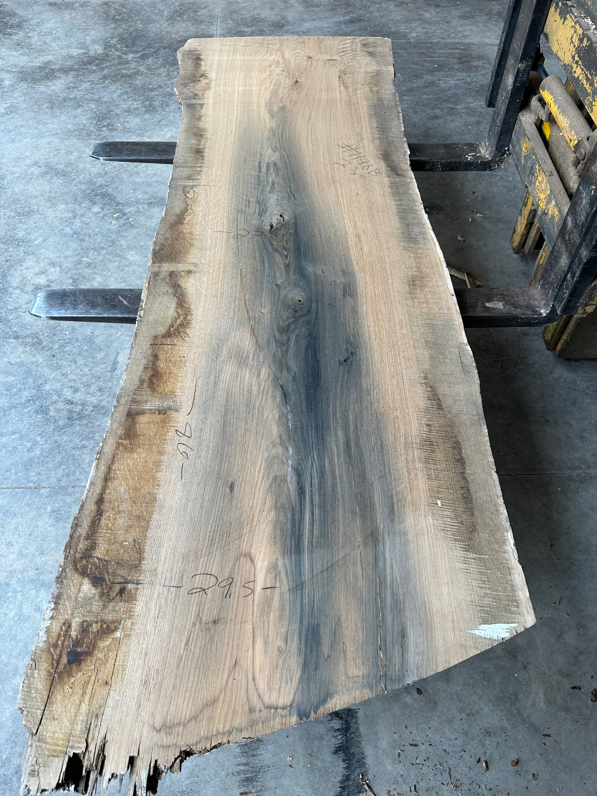 White Oak Lumber Slab #1198 BLUE | Hazel Oak Farms