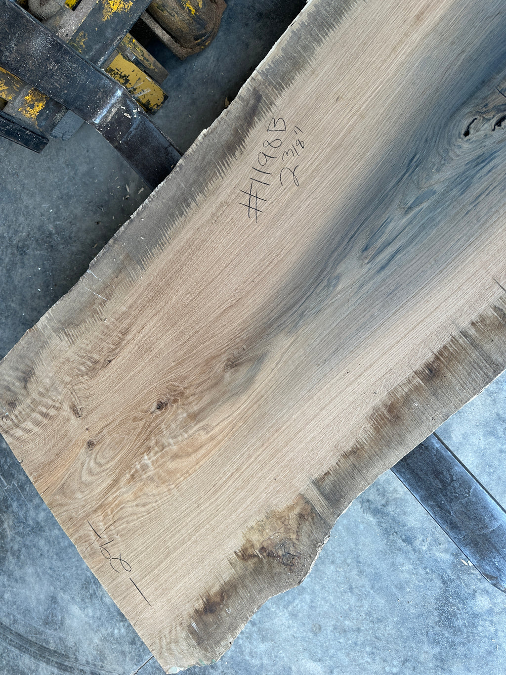 White Oak Lumber Slab #1198 BLUE | Hazel Oak Farms