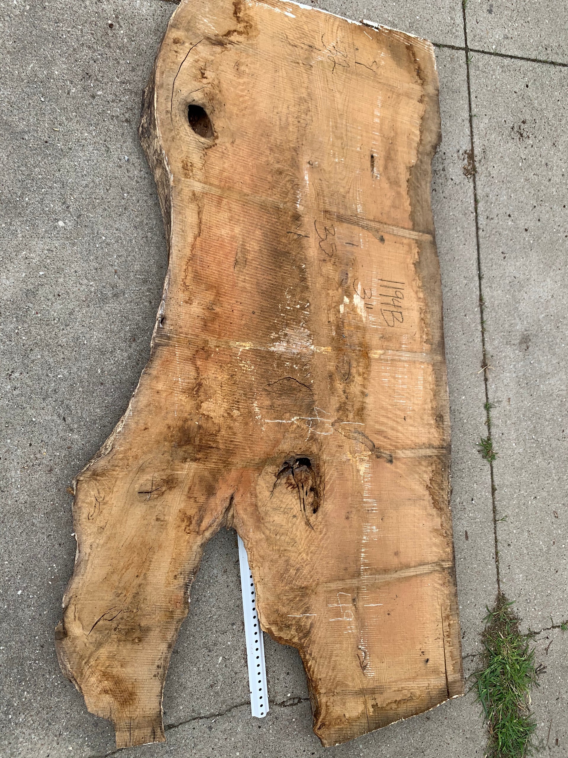 White Oak Lumber Slab #1194 BLUE | Hazel Oak Farms