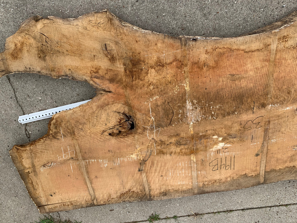 White Oak Lumber Slab #1194 BLUE | Hazel Oak Farms