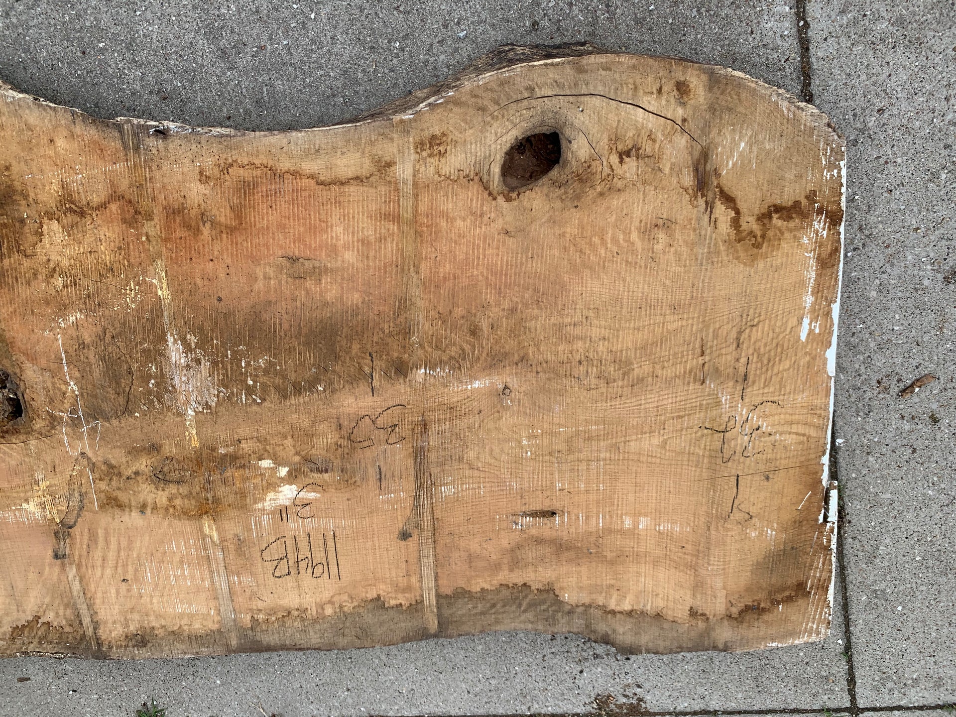 White Oak Lumber Slab #1194 BLUE | Hazel Oak Farms