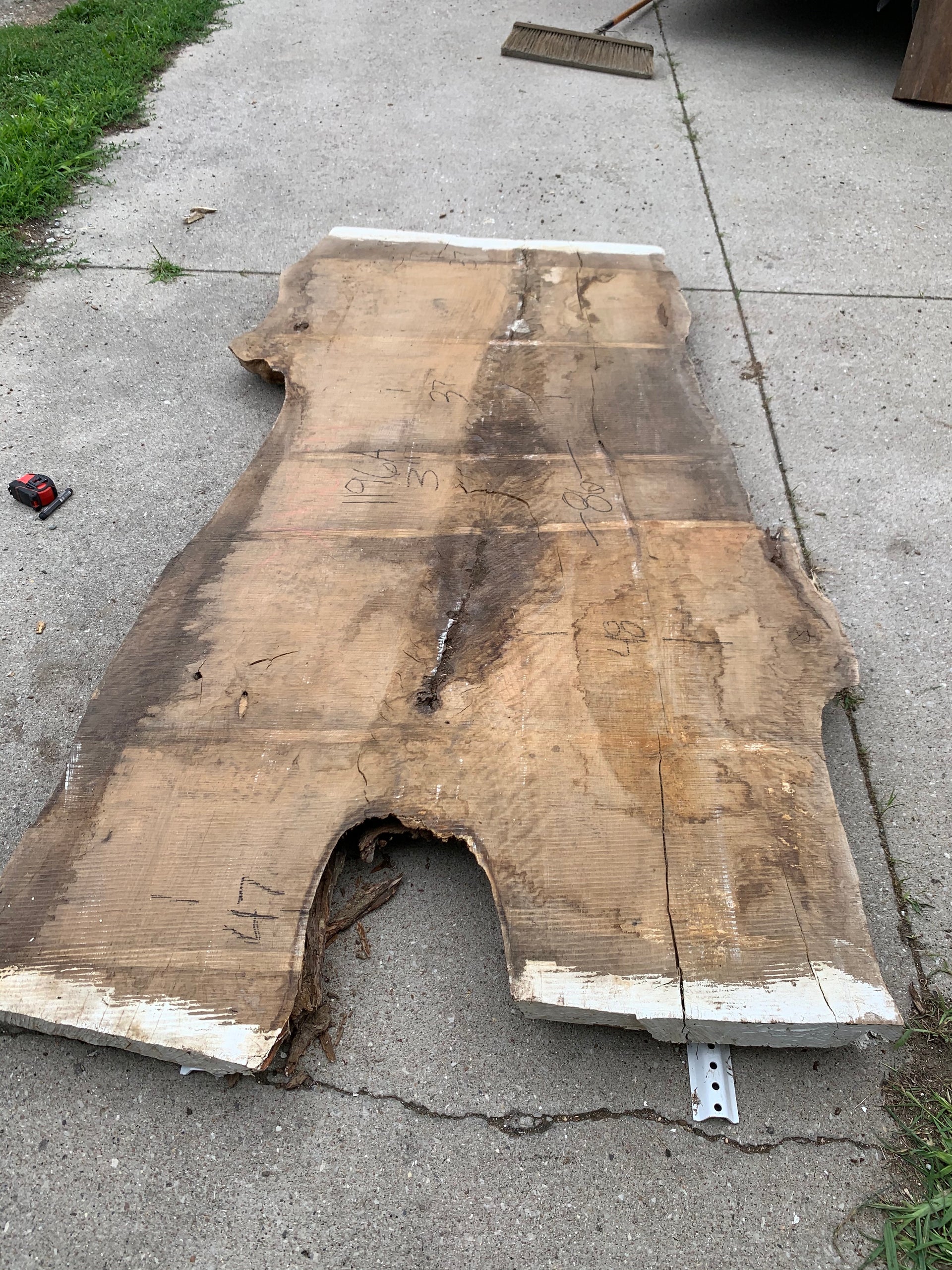 White Oak Lumber Slab #1196 BLUE | Hazel Oak Farms