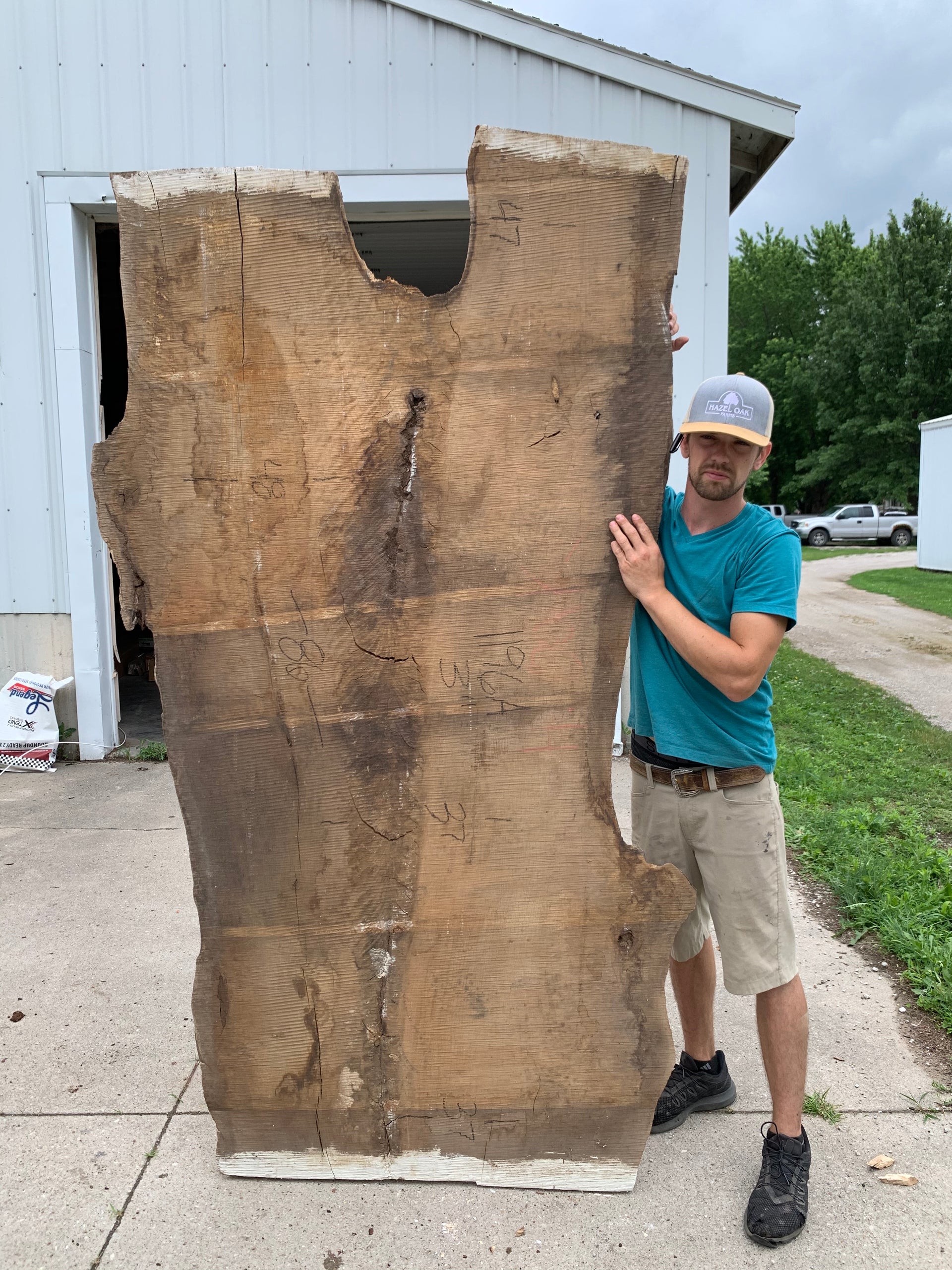 White Oak Lumber Slab #1196 BLUE | Hazel Oak Farms