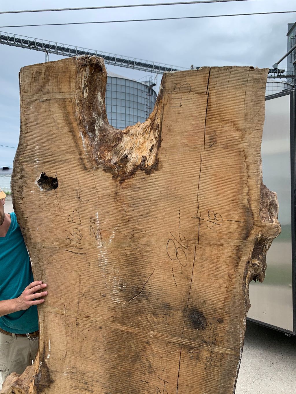 White Oak Lumber Slab #1196 BLUE | Hazel Oak Farms